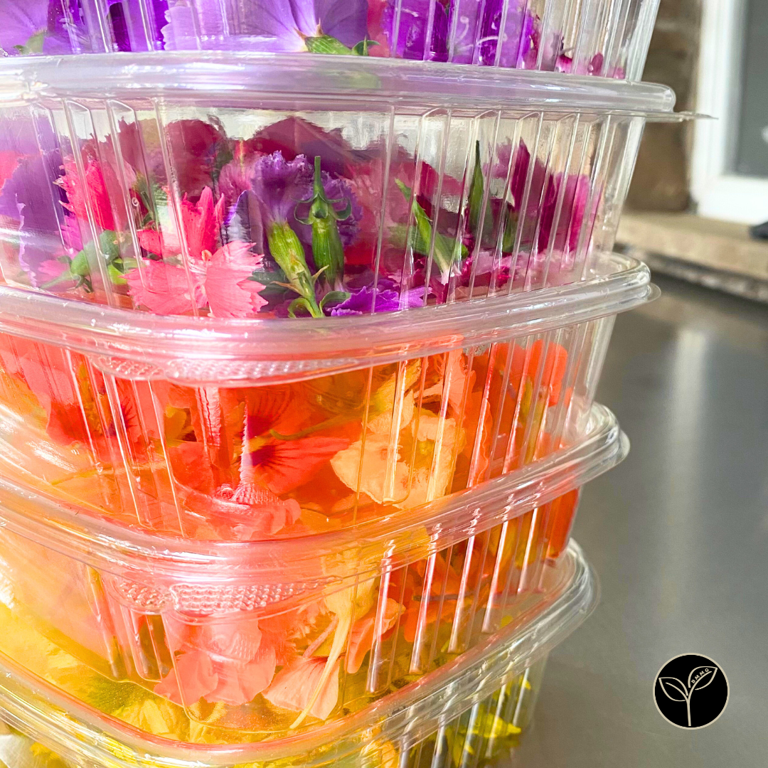 Edible Flowers – Back Mountain Microgreens